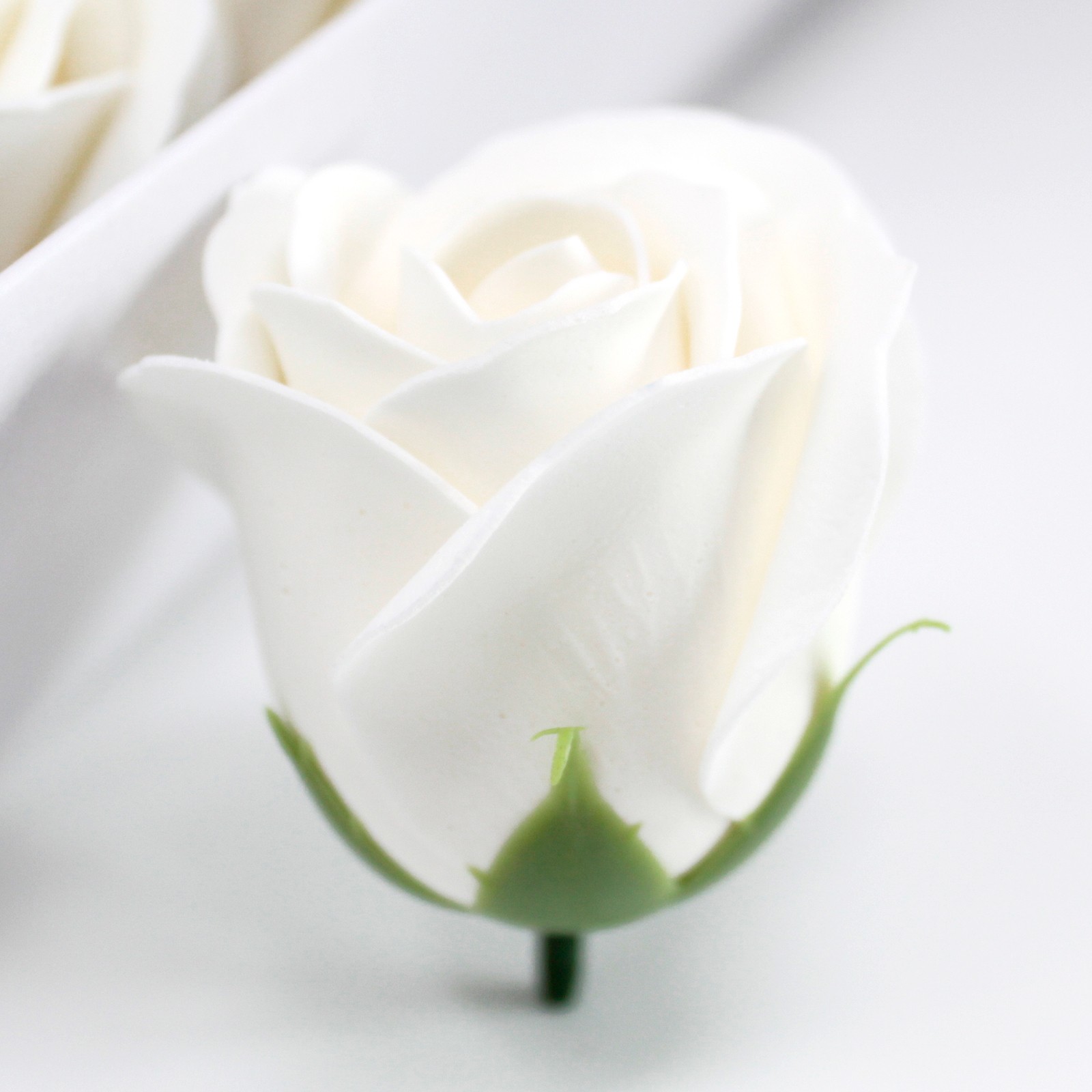 White Rose flowers - www.omifun.co.uk